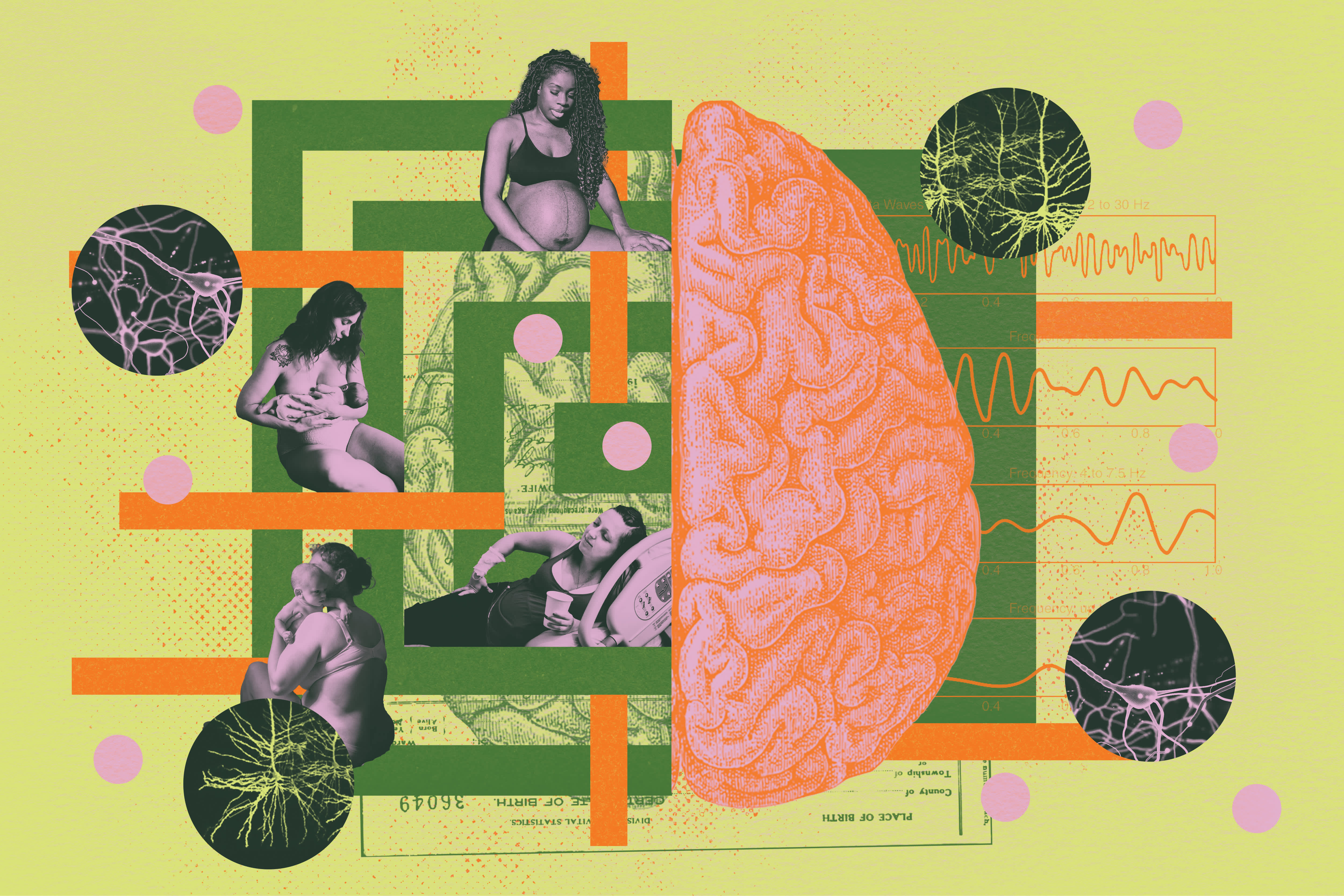 The Brain Changes That Occur During Pregnancy and Postpartum